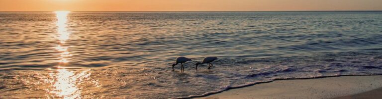 Miami Dade Al-Anon – Districts 190 and 200